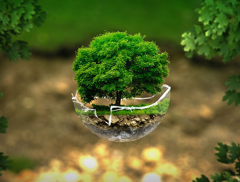 Les 03 bonnes raisons de se mettre à l’écologie | La maison bio